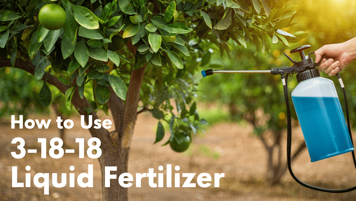 How to Use 3-18-18 Liquid Fertilizer to Boost Fruit Tree Yields in Flo ...
