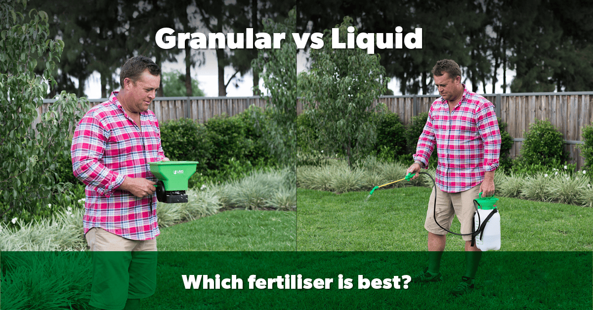 Liquid vs Granular Lawn Fertilizer: Which Is Better for Florida Spring ...