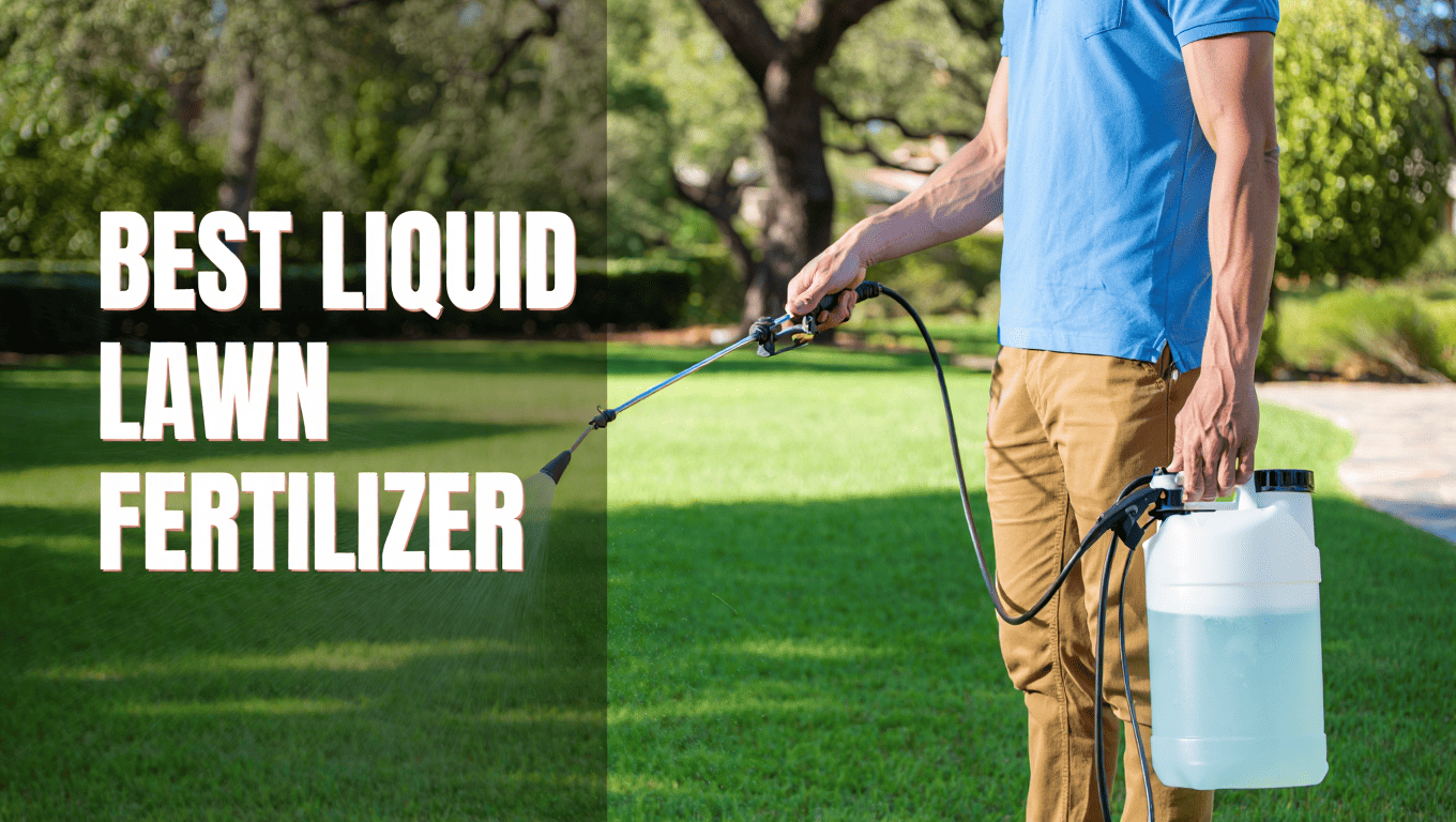 Spring Lawn Fertilization in Florida: How to Best Use Liquid Fertilize ...