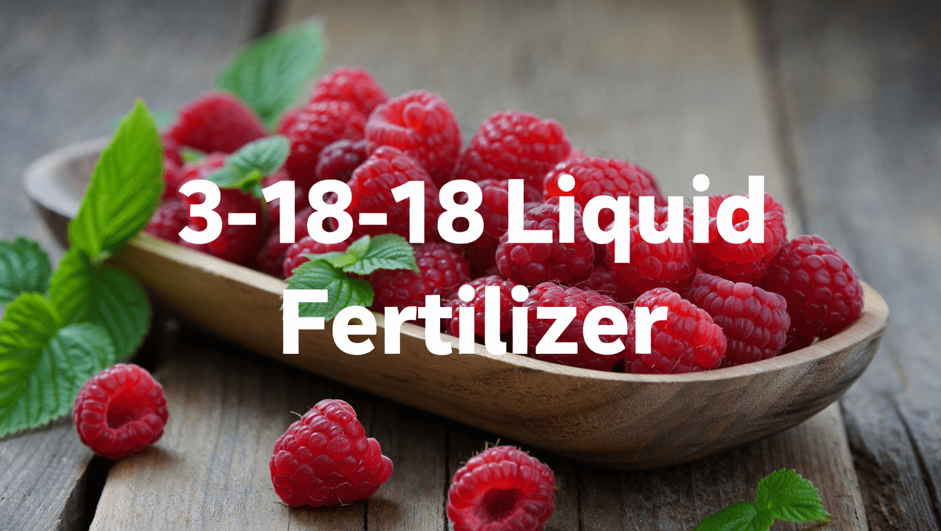Using 3-18-18 Liquid Fertilizer for Vigorous Raspberry Growth in Texas ...